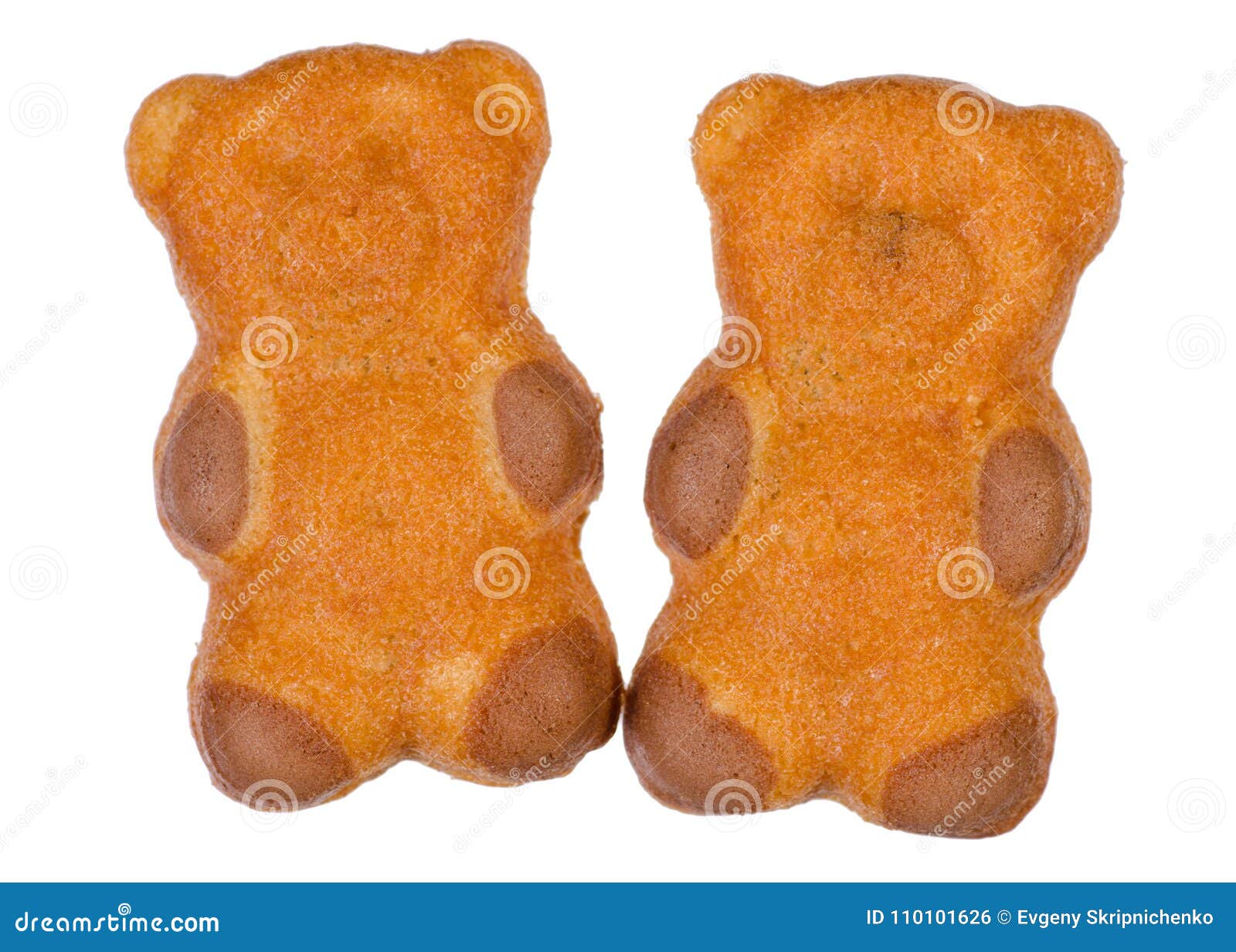 Biscuit in the Form of a Bear Stock Photo - Image of bear, background ...