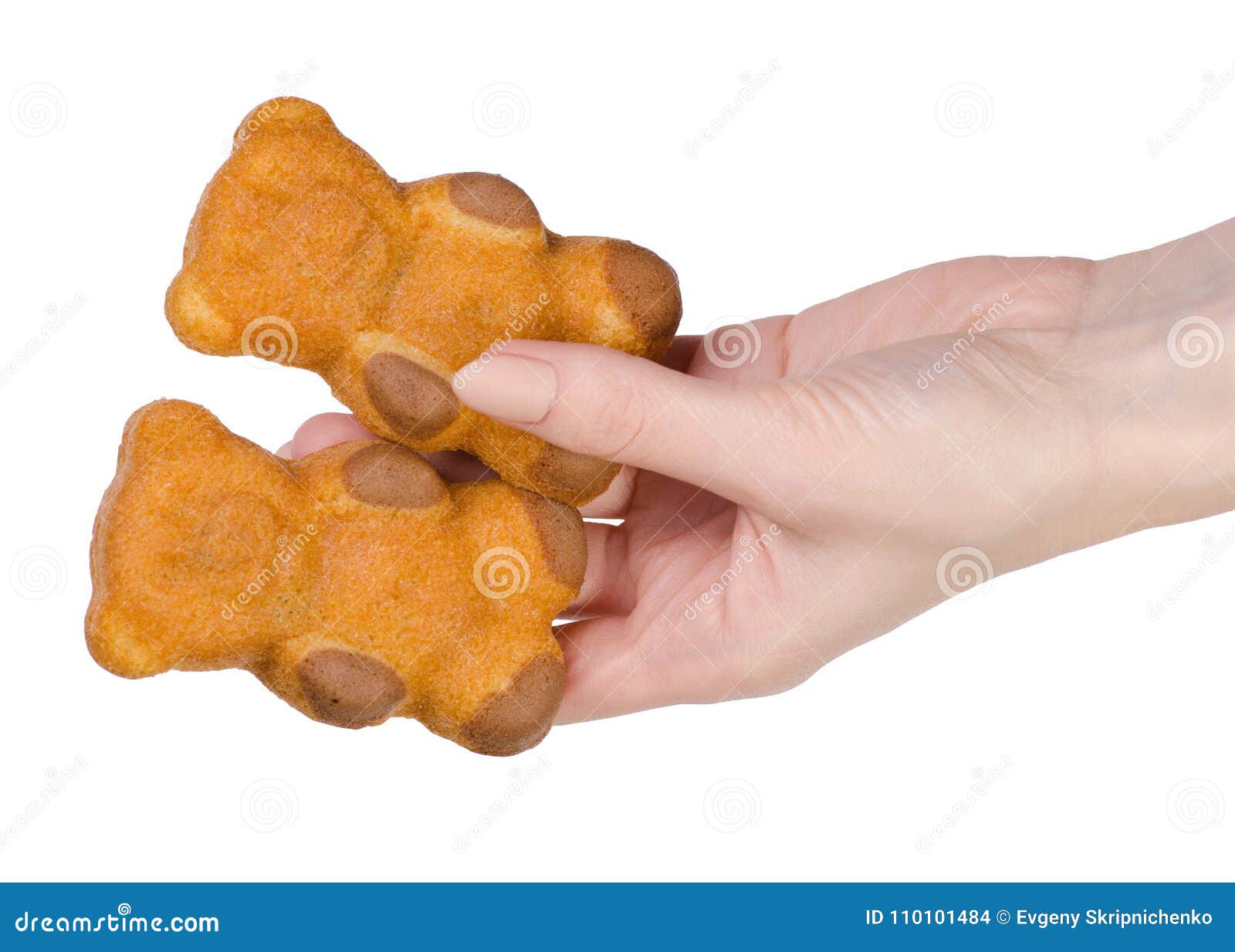 Biscuit in the Form of a Bear in Hands Stock Photo - Image of card ...