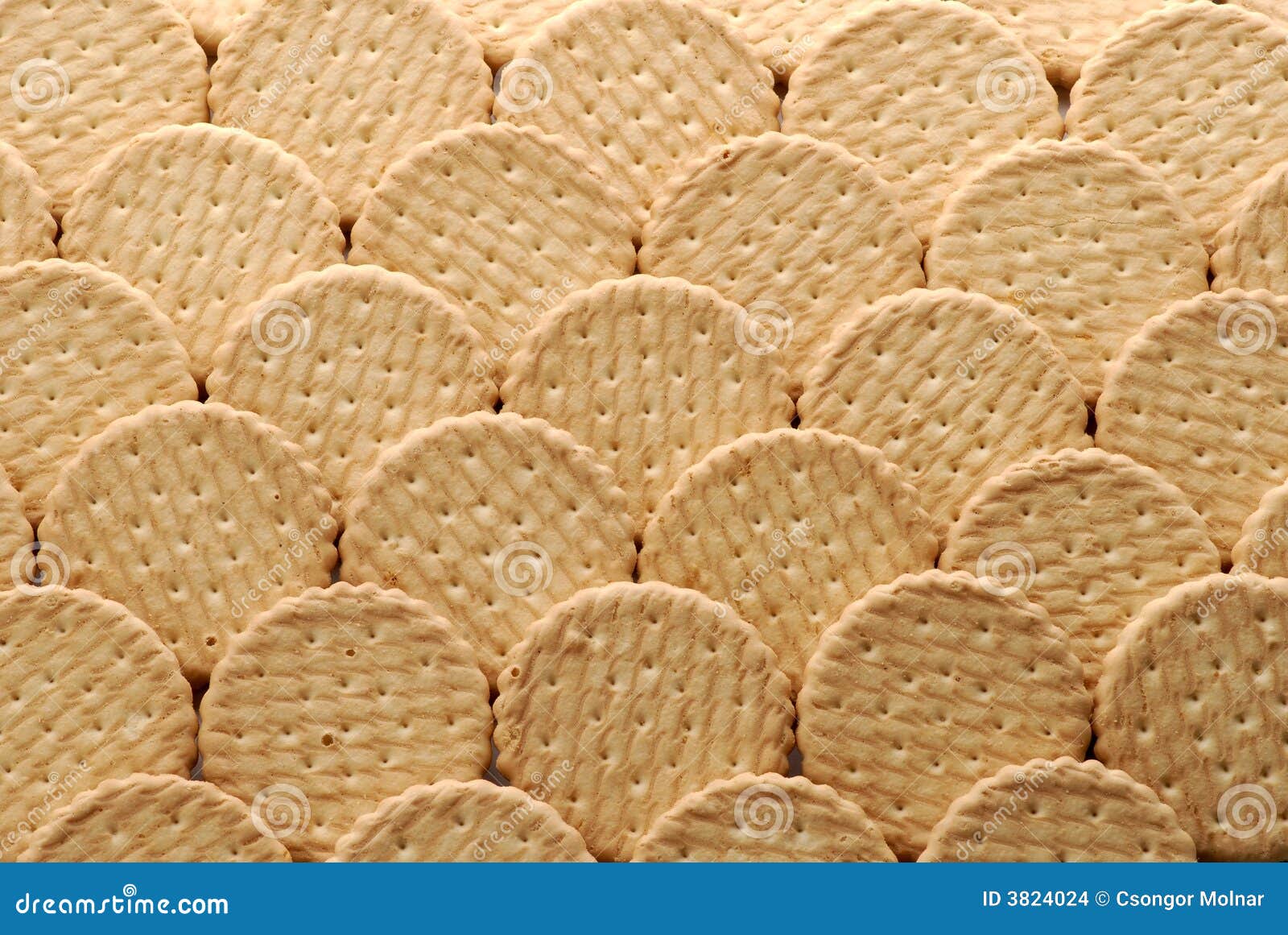 Biscuits stock photo. Image of group, crunchy, sweets - 3824024