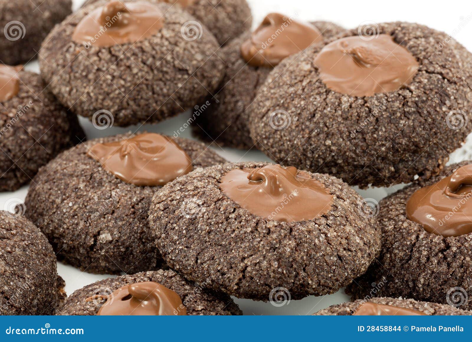 Biscuits with chocolate stock photo. Image of biscuits - 28458844