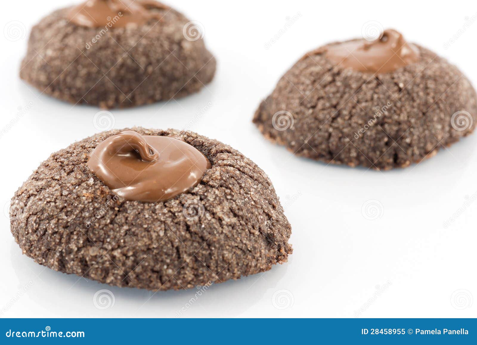 Biscuits with chocolate stock image. Image of gourmet - 28458955