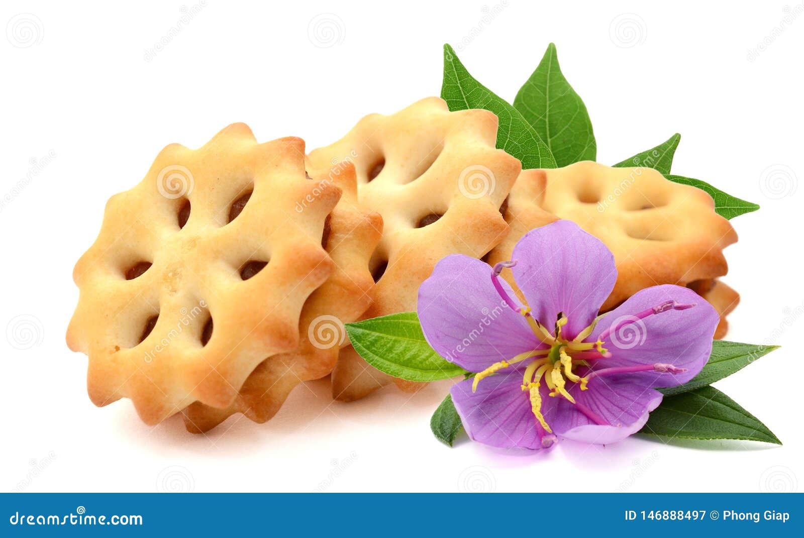 Biscuits with salt. stock image. Image of sugar, snack - 146888497