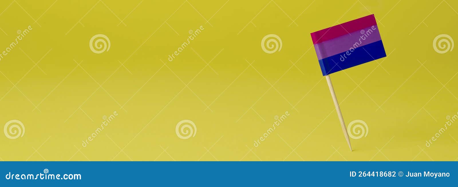 A Bisexual Pride Flag in a Web Banner Format Stock Photo - Image of ...