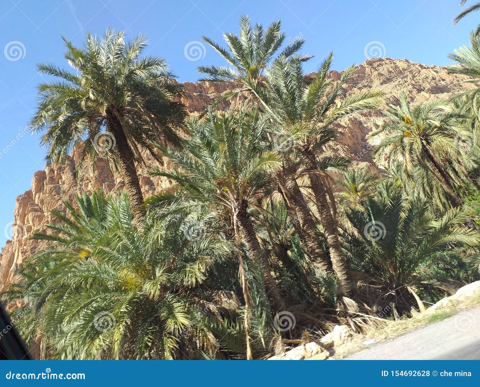 Biskra Algeria stock photo. Image of summer, biskra - 154692628