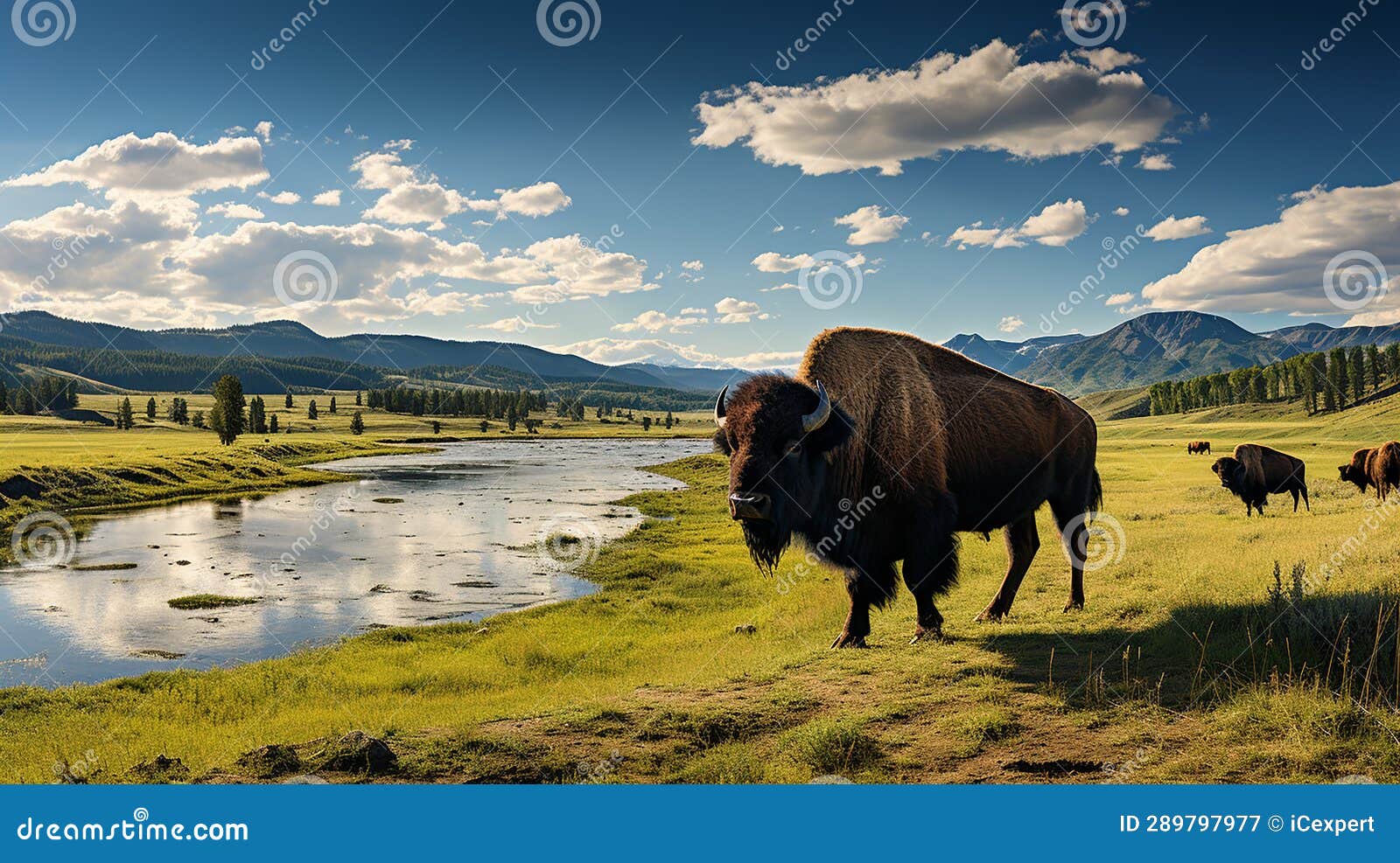 Bison Lake in the Mountains Stock Illustration - Illustration of large ...