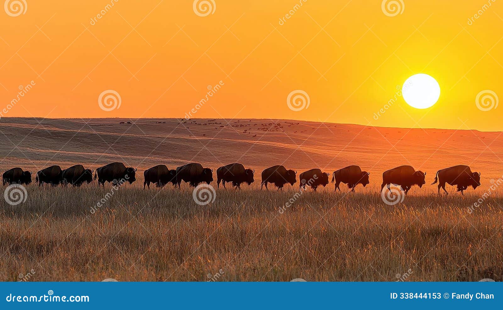 Bison Silhouettes At Sunset Hyperrealistic Concept Art Illustration ...