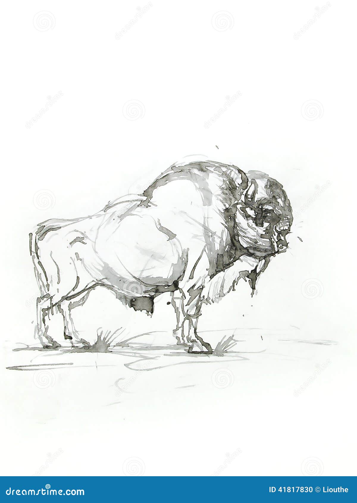 Bison sketch stock illustration. Illustration of muscular - 41817830