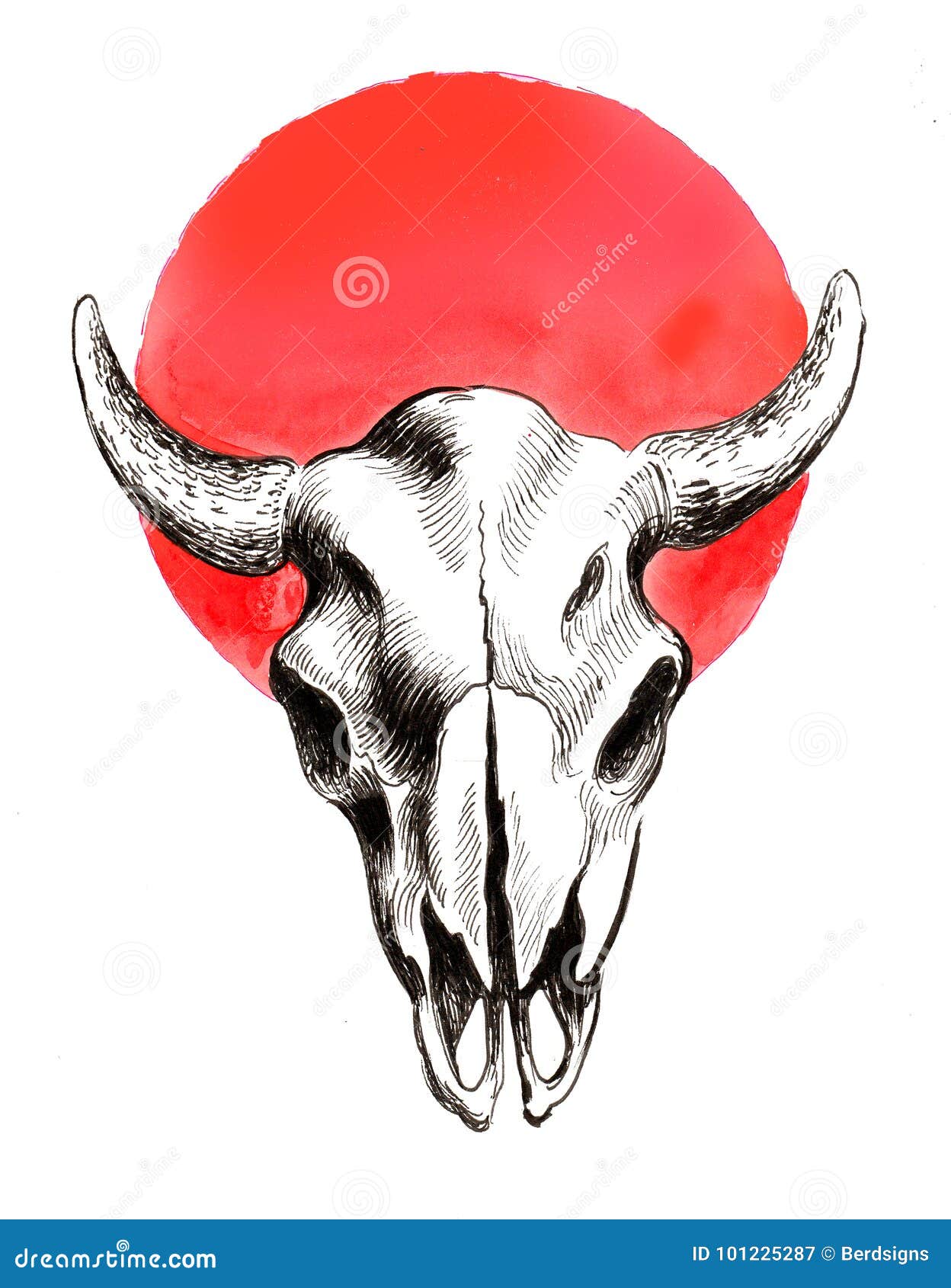 Bison Skull Hand Drawing By Ink. Buffalo Cranium Vector Illustration ...