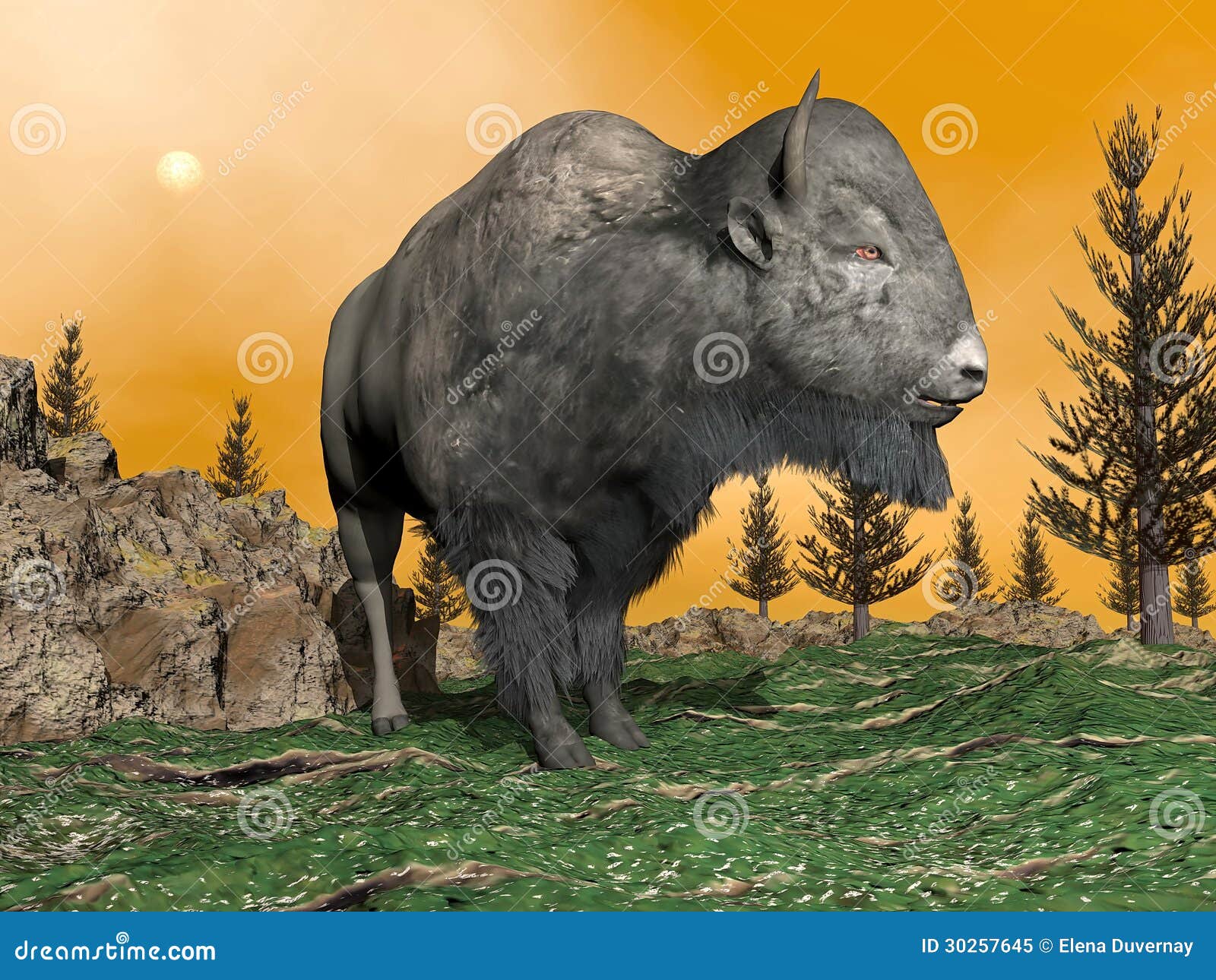 Bison by Sunset - 3D Render Stock Illustration - Illustration of farm ...