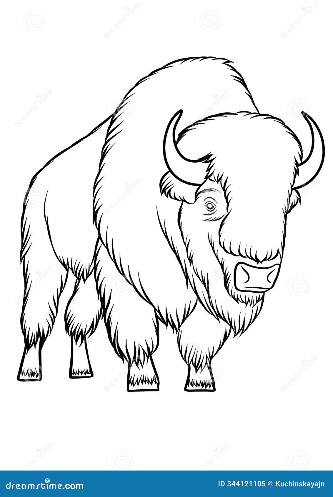 Bison Vector Illustration Isolated On Northern America Map Silhouette ...