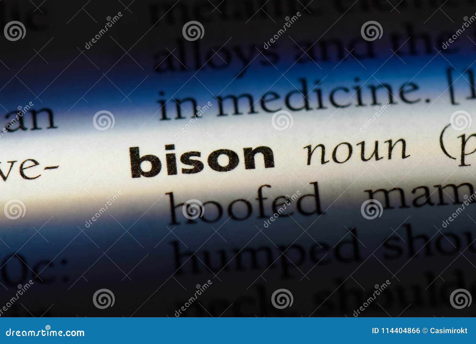 Bison stock photo. Image of printed, closeup, word, concept - 114404866