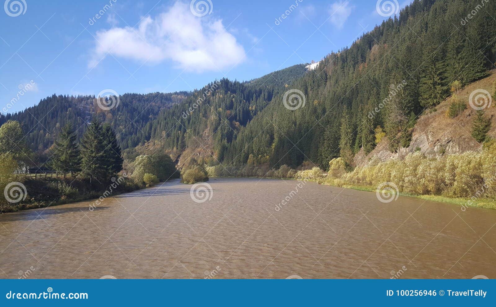 Bistrita river in Romania stock photo. Image of reservoir - 100256946