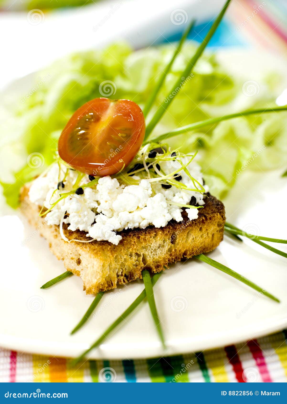 Bit stock photo. Image of healthy, gourmand, cheese, close - 8822856