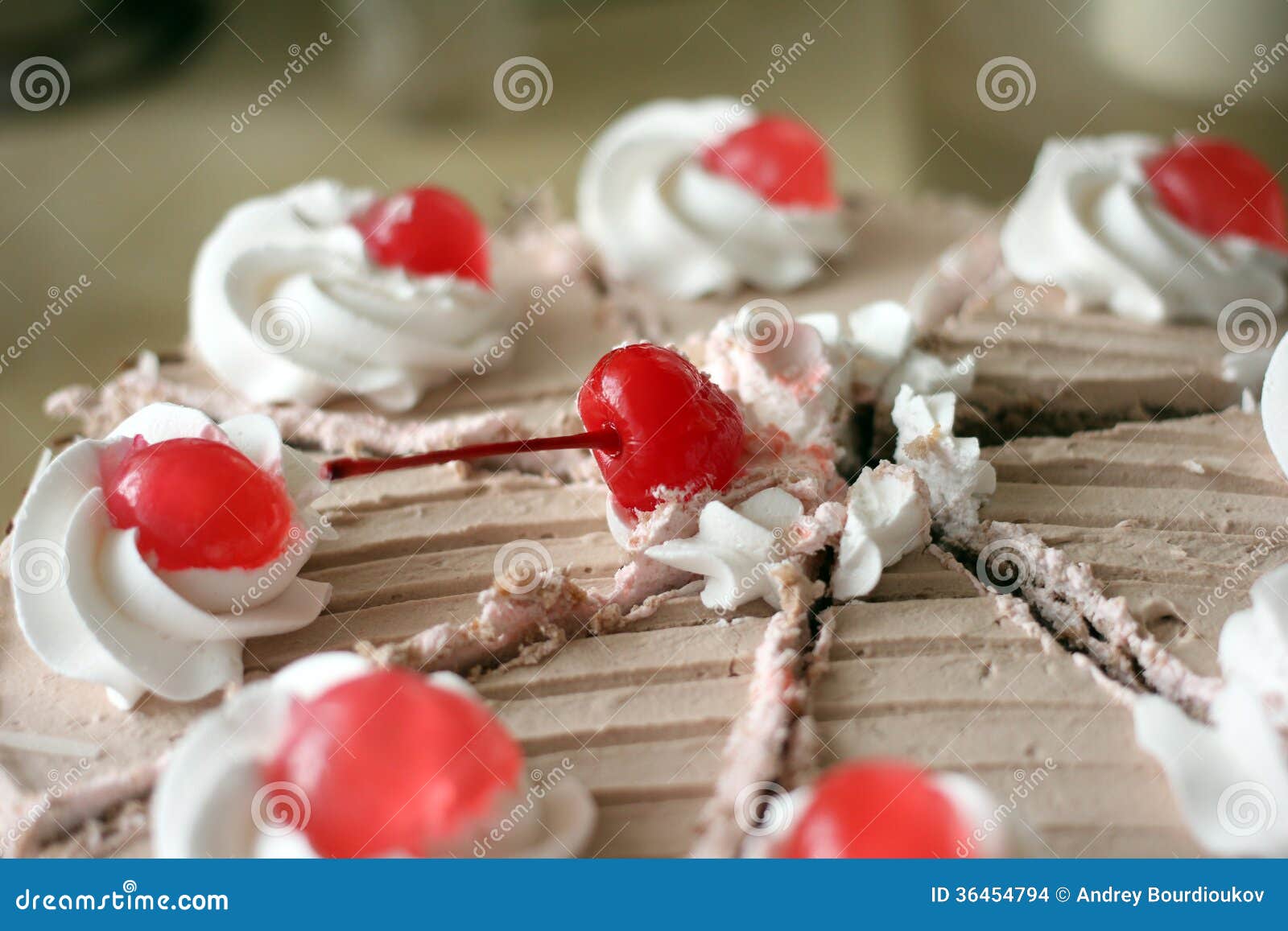 Bit cake stock photo. Image of life, plate, concepts - 36454794