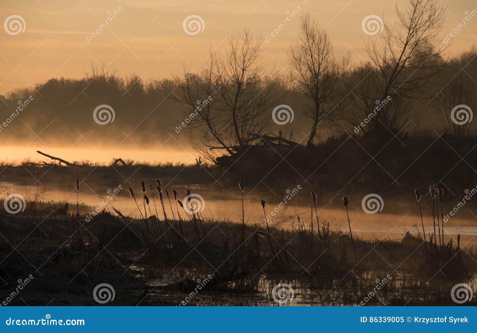 Bit Fog Over River Stock Photos - Free & Royalty-Free Stock Photos from ...