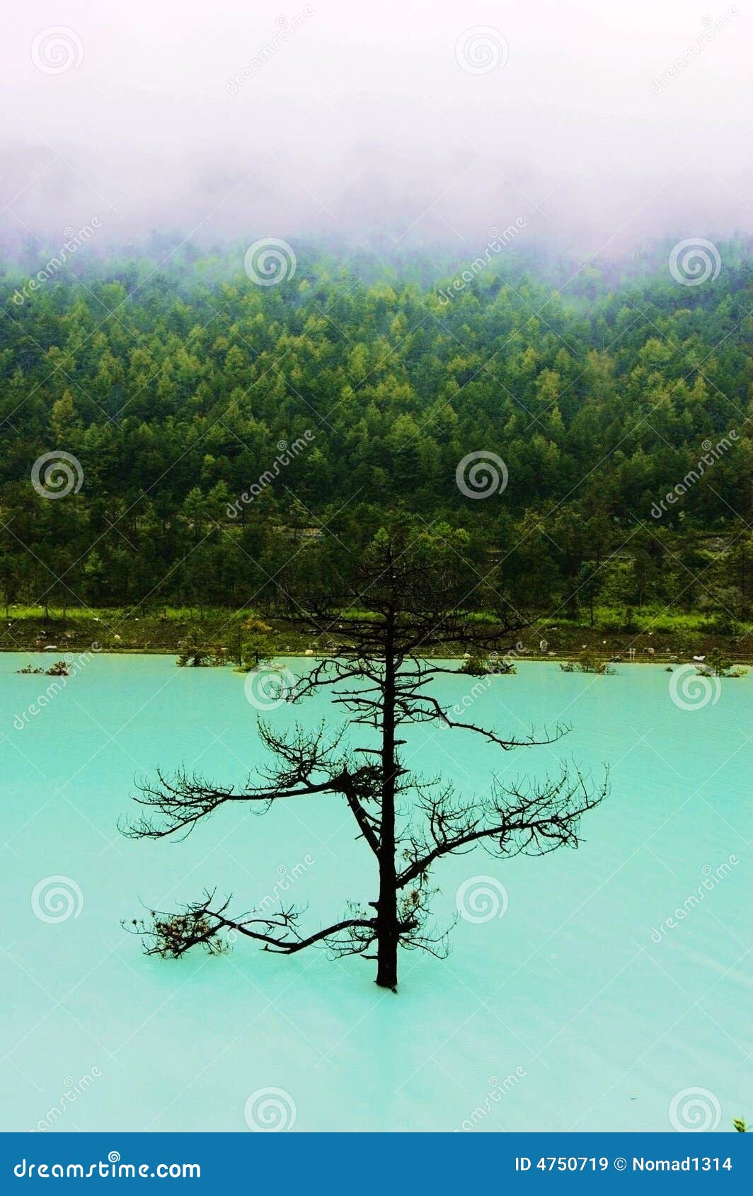 Bita Lake stock image. Image of religious, legend, holy - 4750719