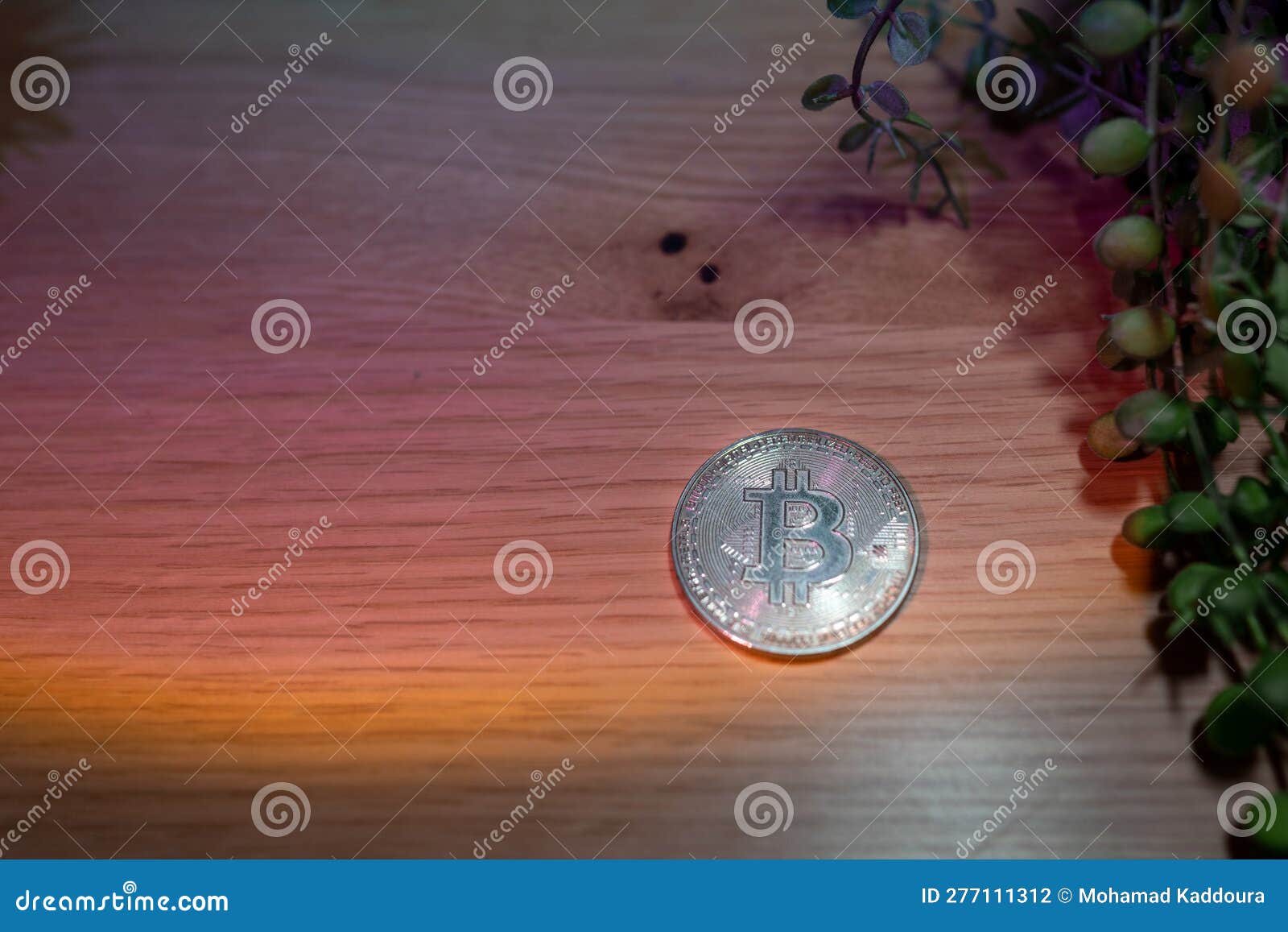 Bitcoin Gold Coin - Cryptocurrency Concept - Bitcoin Surrounded by RGB ...