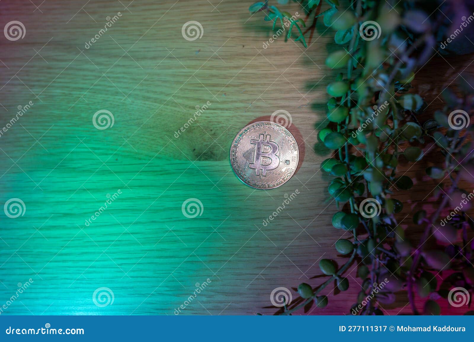 Bitcoin Gold Coin - Cryptocurrency Concept - Bitcoin Surrounded by RGB ...