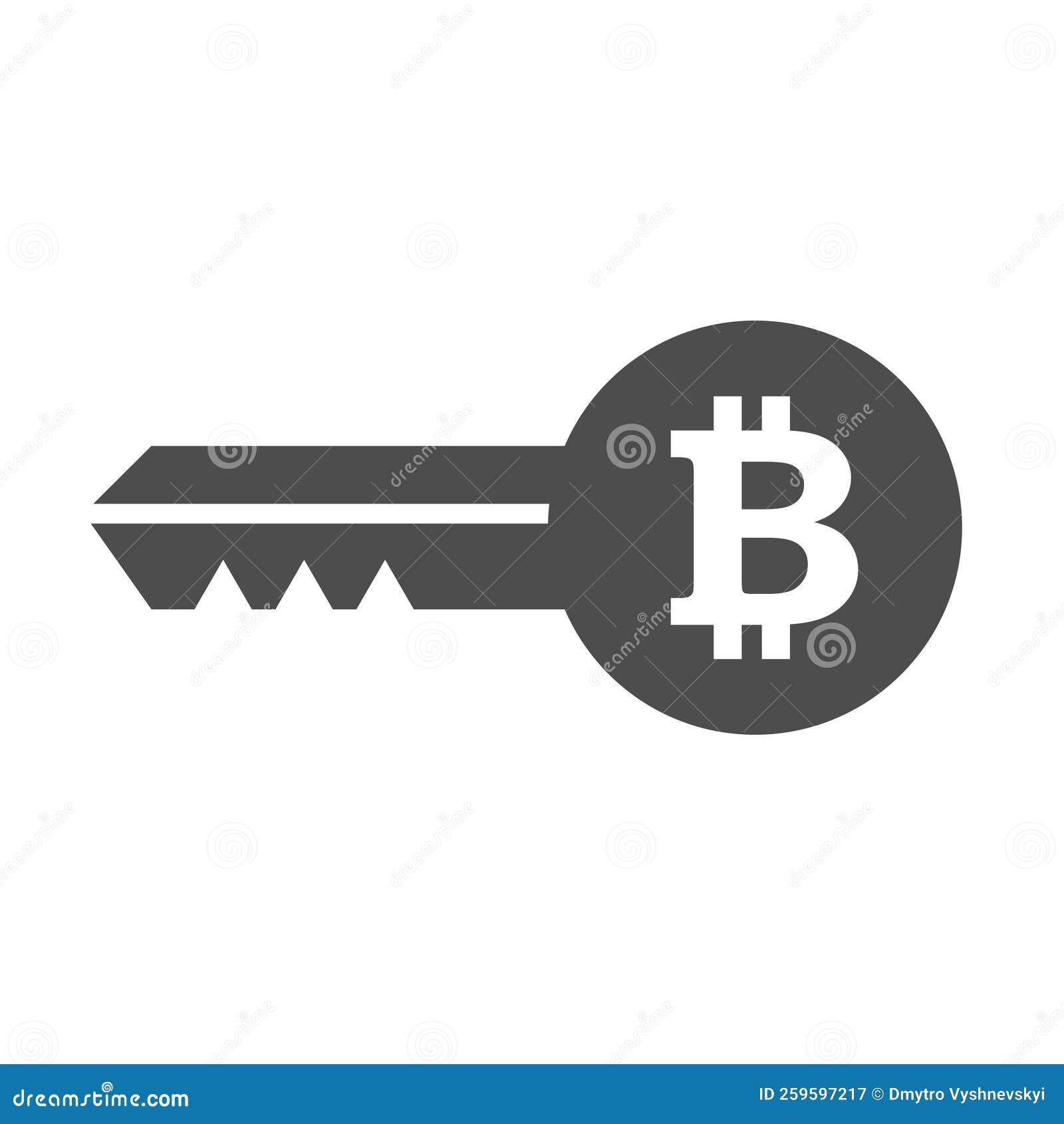 Bitcoin Key Silhouette Vector Icon Isolated on White Stock Vector ...