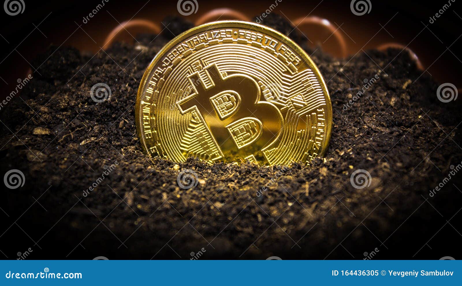 Bitcoin is Planted in the Ground for Its Growth. Bitcoin in a Flower ...