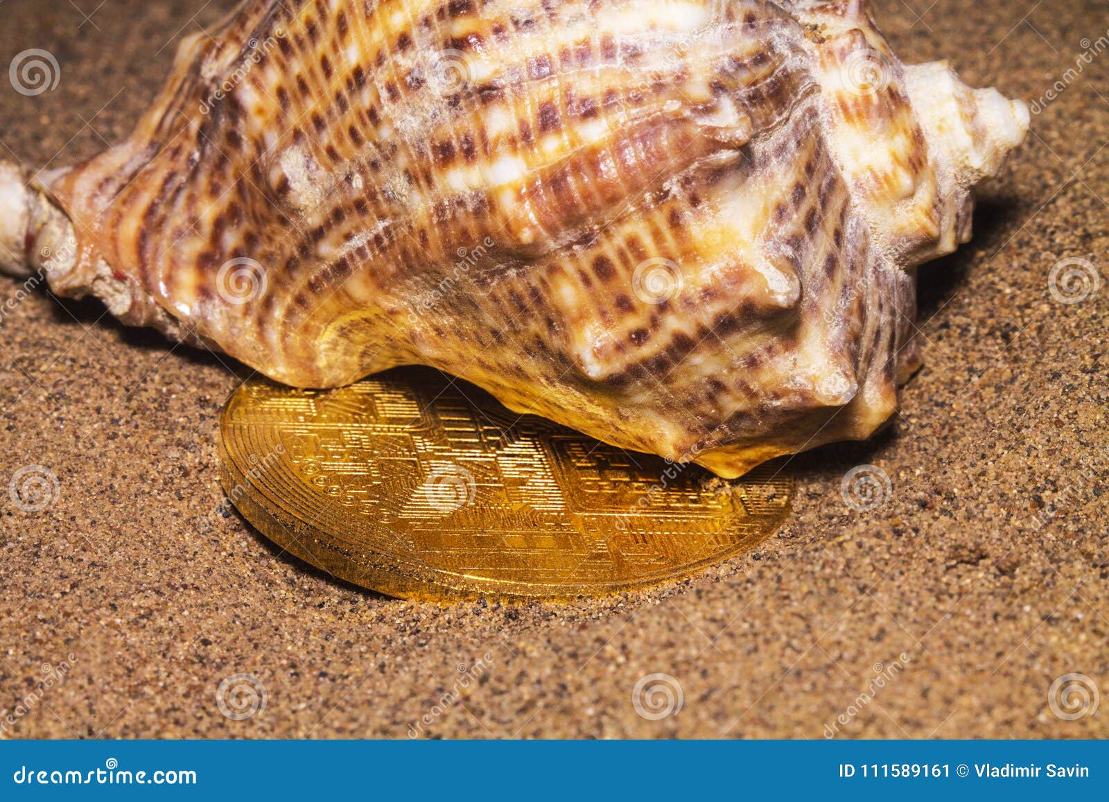 Bitcoin shell 4 stock image. Image of cash, invest, exchange - 111589161