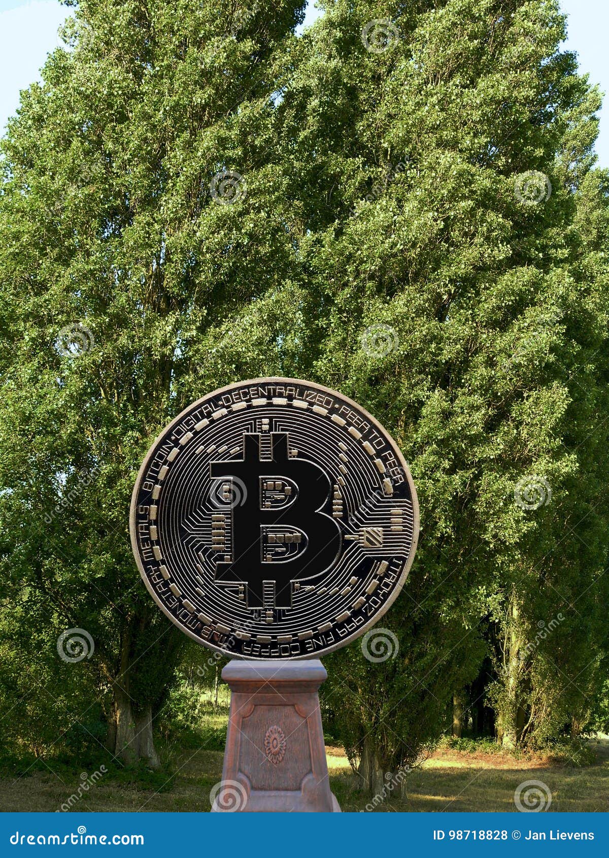 Bitcoin statue stock photo. Image of binary, golden, copper - 98718828
