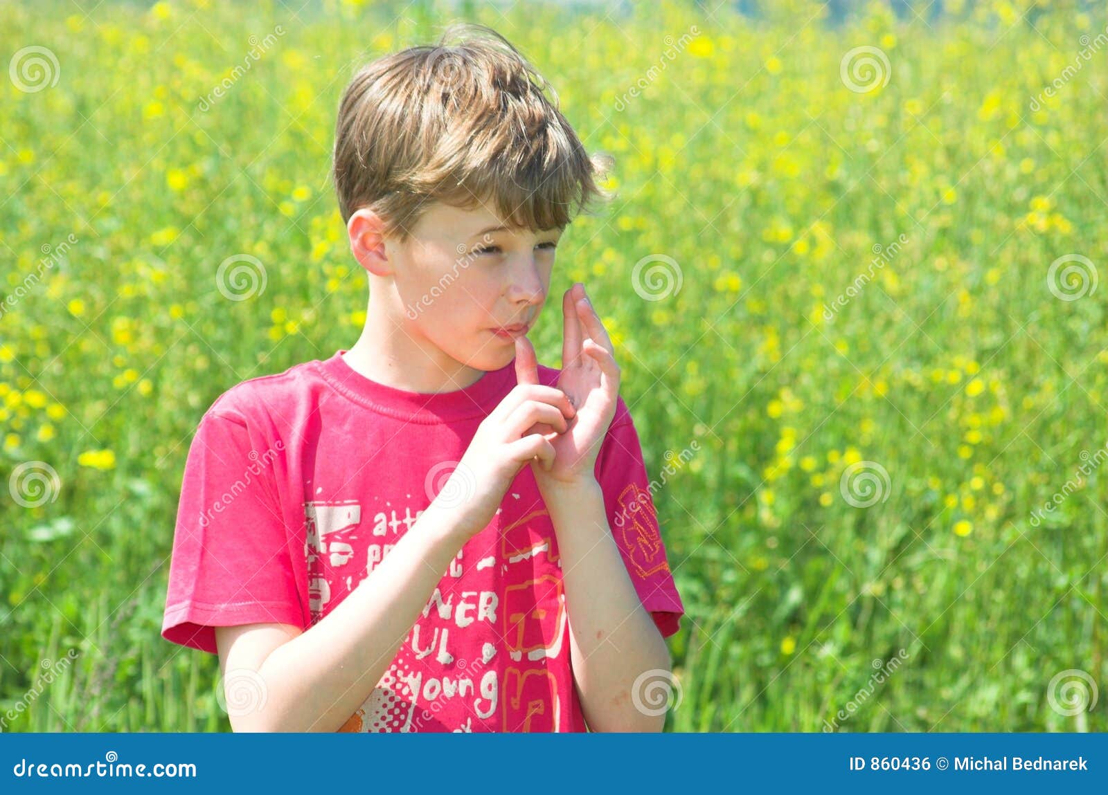 Bite! stock photo. Image of sting, hand, examine, pain - 860436