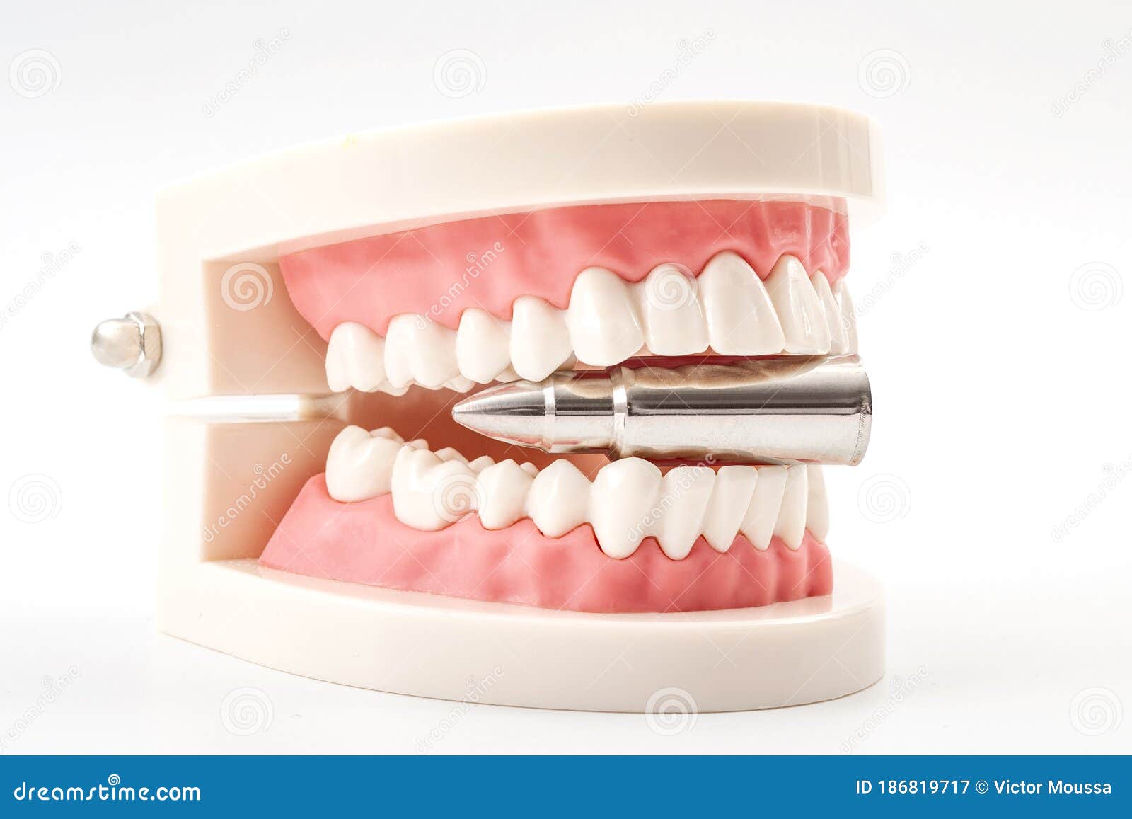 Bite the Bullet, Stoic Attitude or Endure an Unavoidable Painful or ...