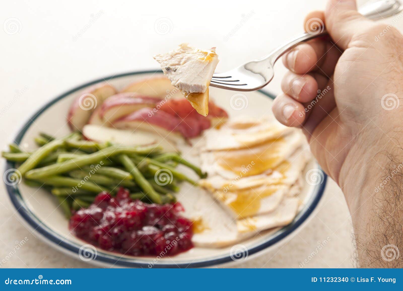 Bite of Thanksgiving Turkey Stock Photo - Image of vegetables, healthy ...