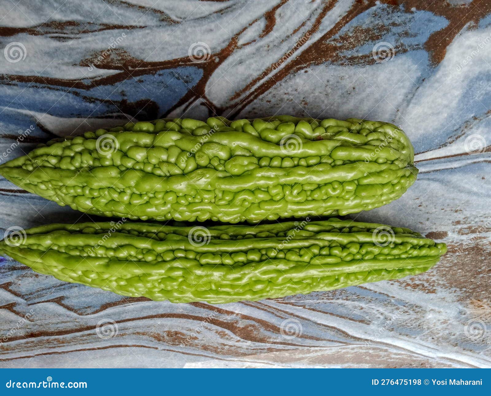 Biter melon stock photo. Image of diabetes, green, nature - 276475198