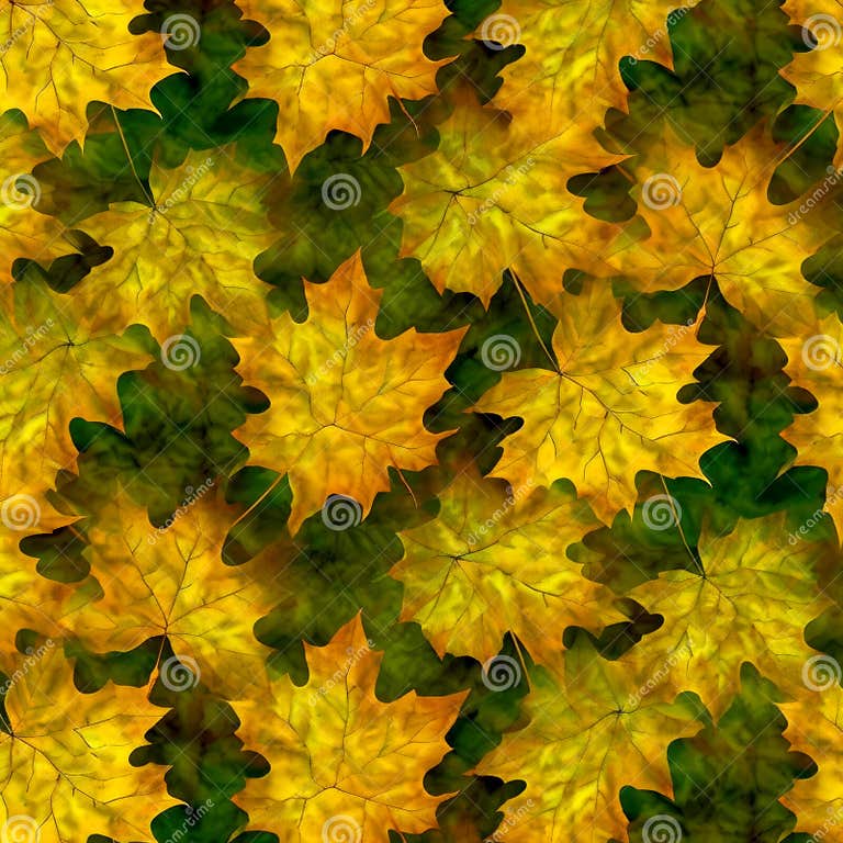 Maple leaves background stock illustration. Illustration of color ...