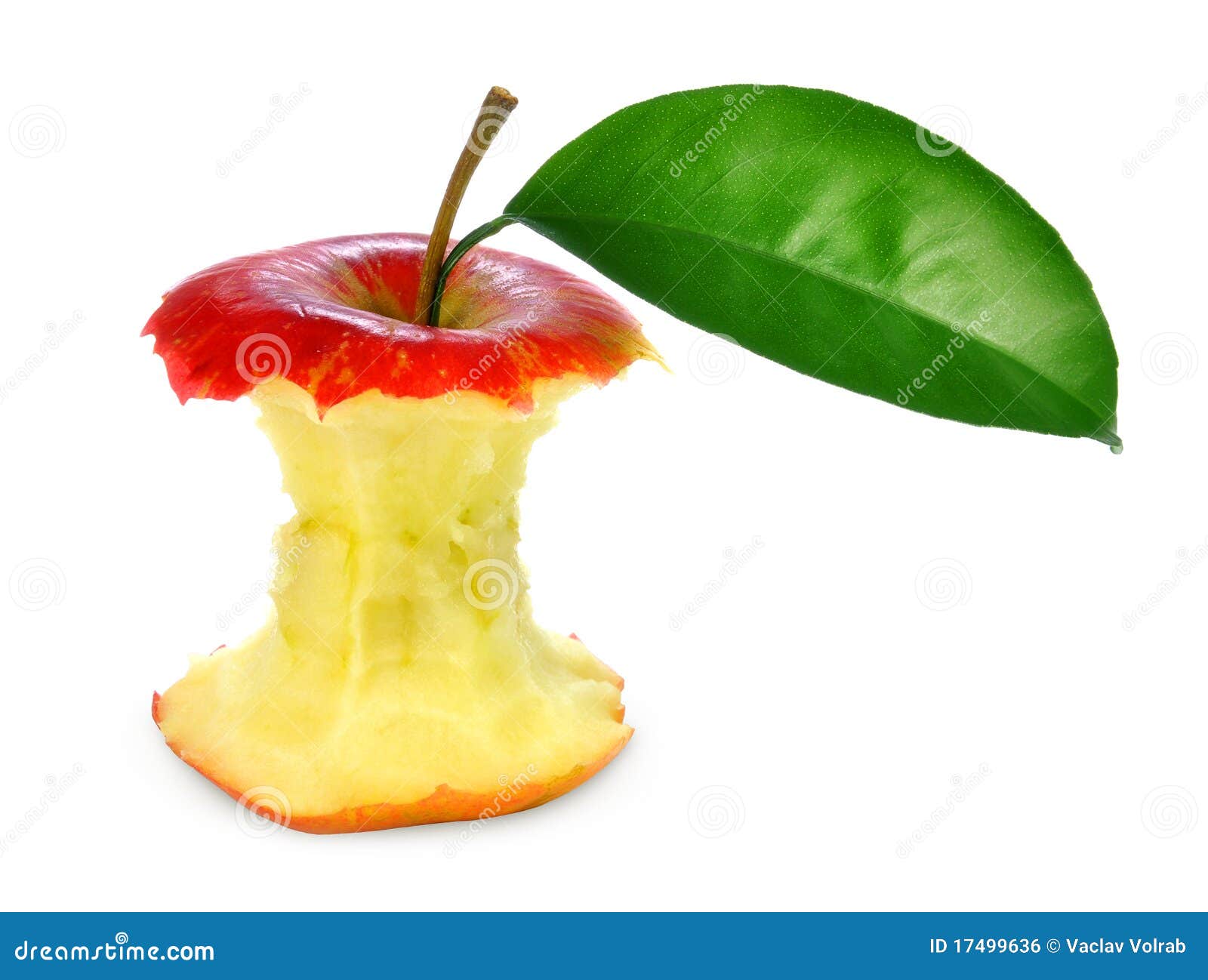 Bitten apple stock photo. Image of core, closeup, food - 17499636
