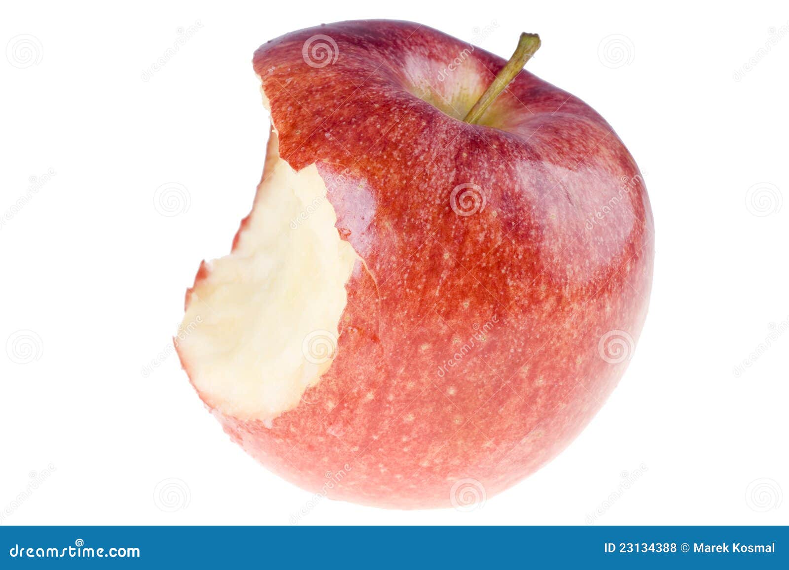 Bitten apple stock photo. Image of core, food, skin, bitten - 23134388