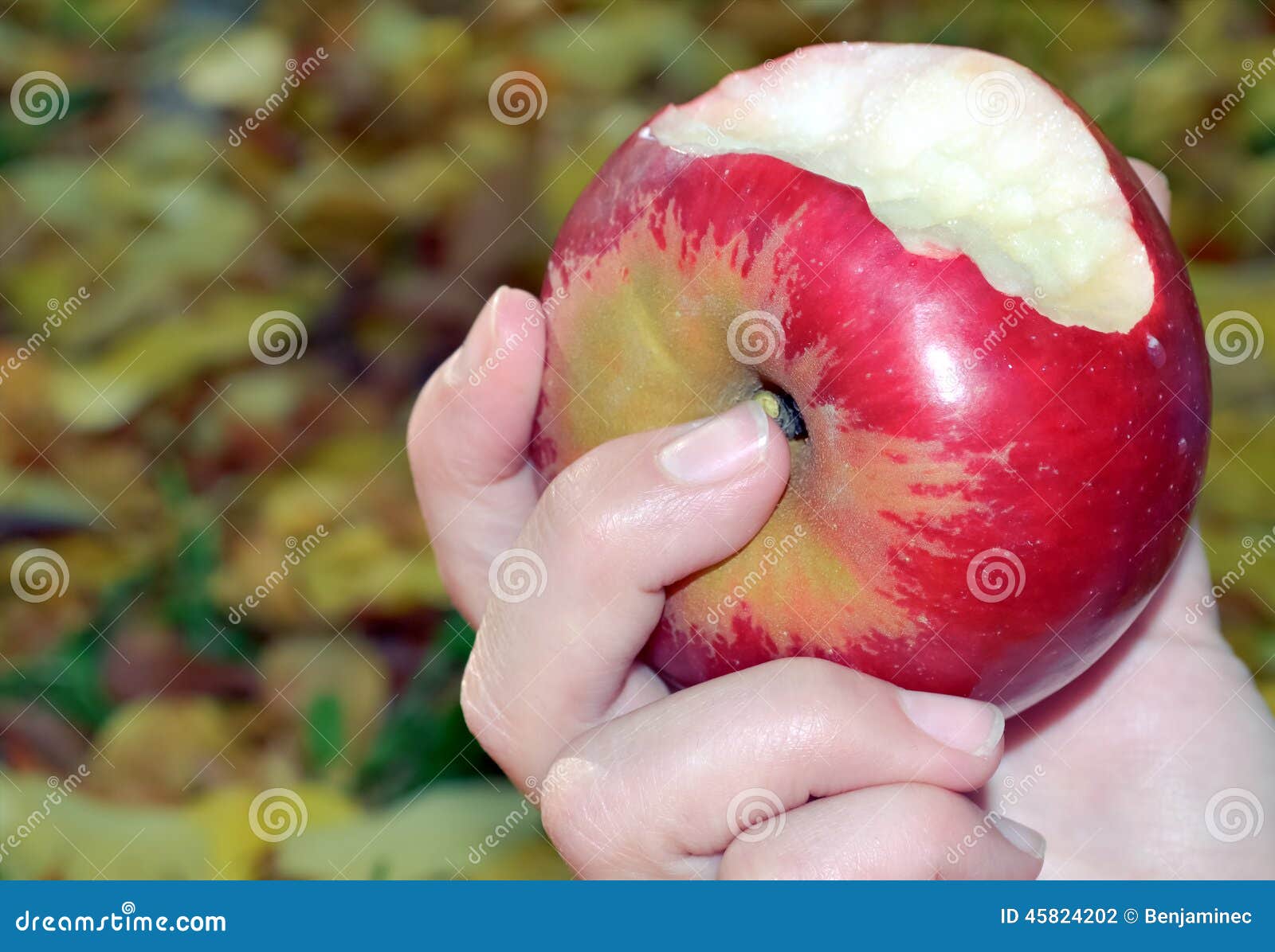 Bitten apple stock photo. Image of bitten, loss, cutout - 45824202