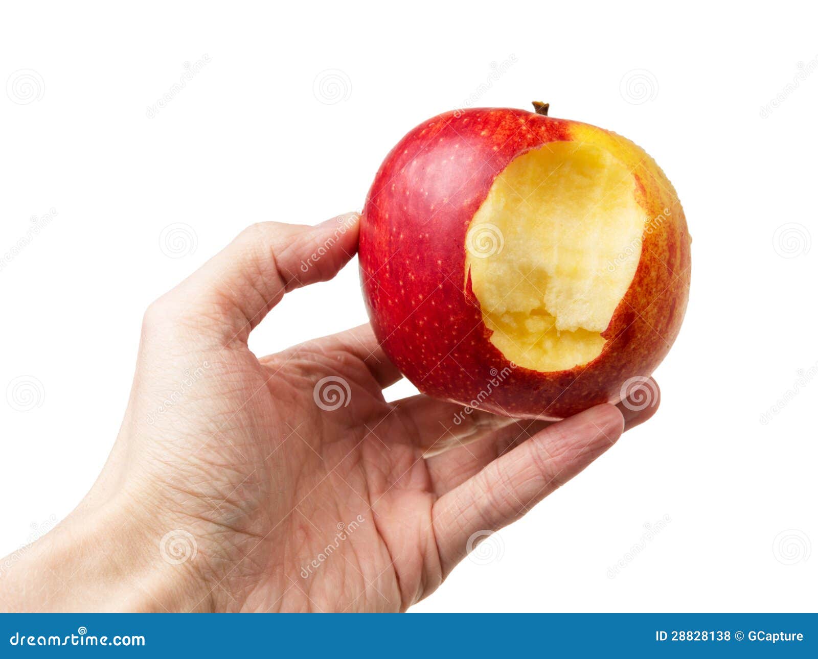 Bitten apple in hand stock photo. Image of eaten, apple - 28828138
