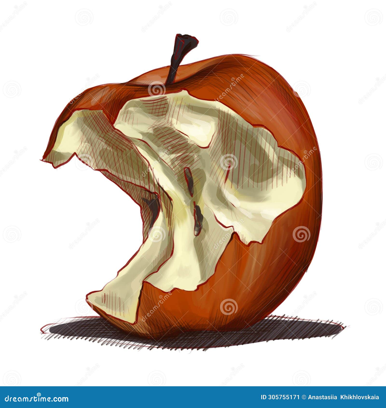 Bitten Apple Isolated on White Background Stock Illustration - Illustration of juicy, core ...