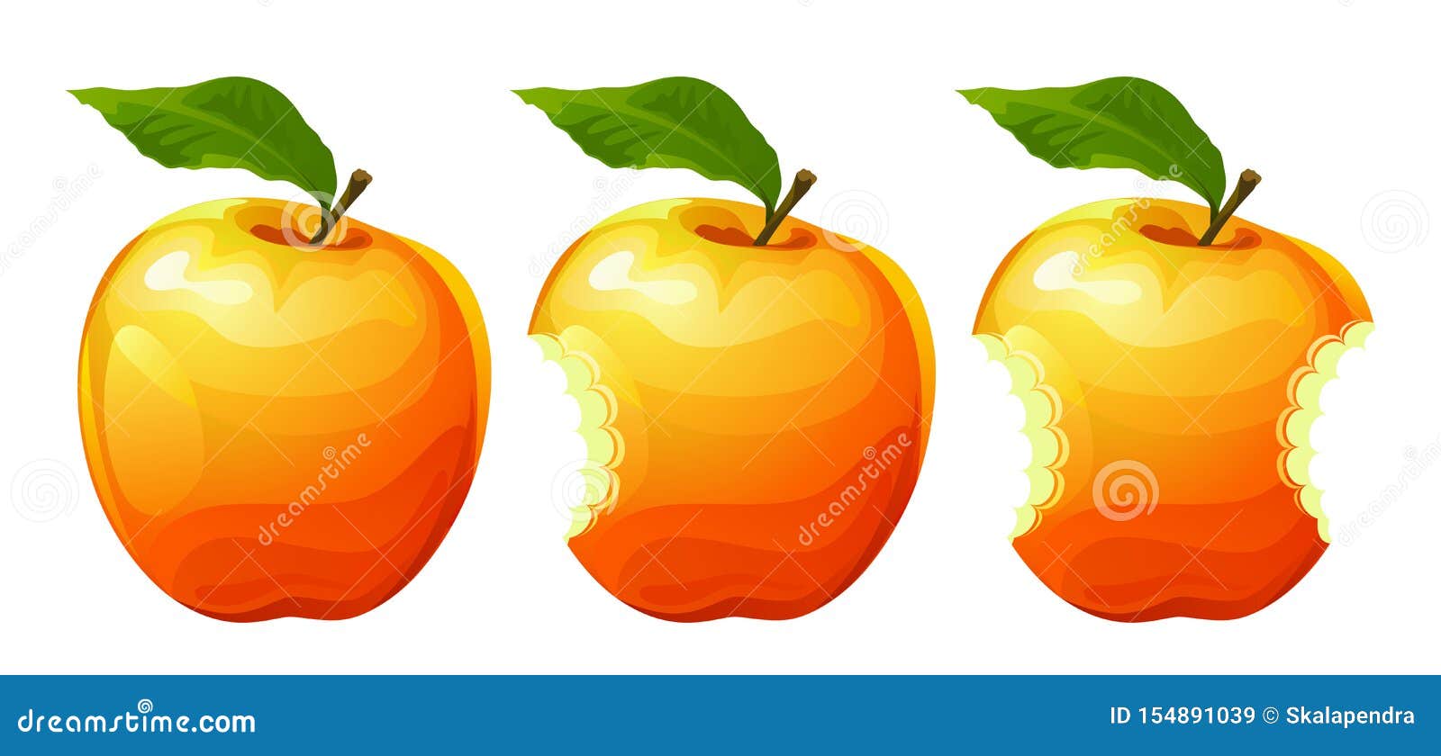 Bitten apple stock vector. Illustration of healthy, apple - 154891039