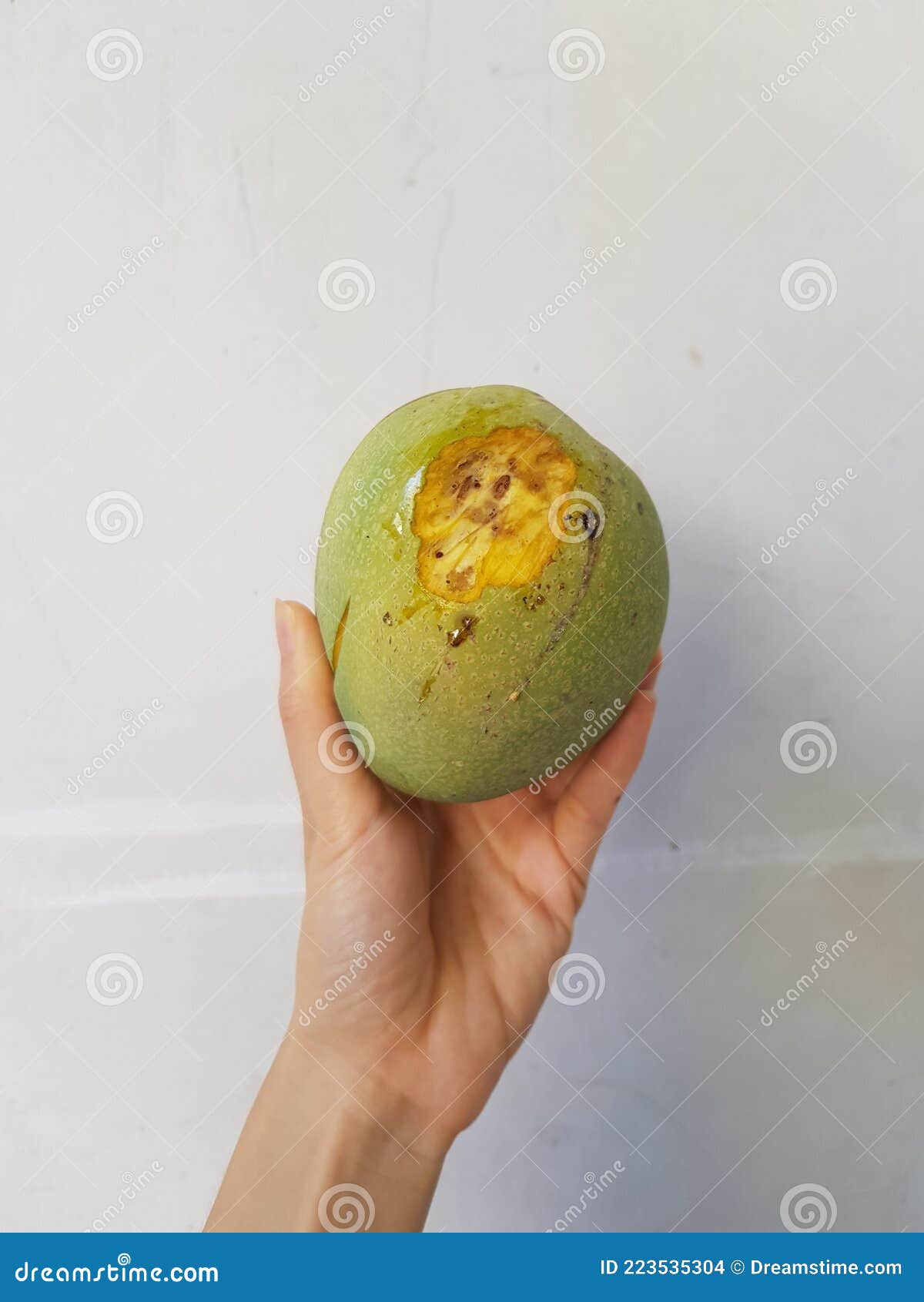 Bitten Mango Tropical Fruit on Hand Stock Photo - Image of citrus ...