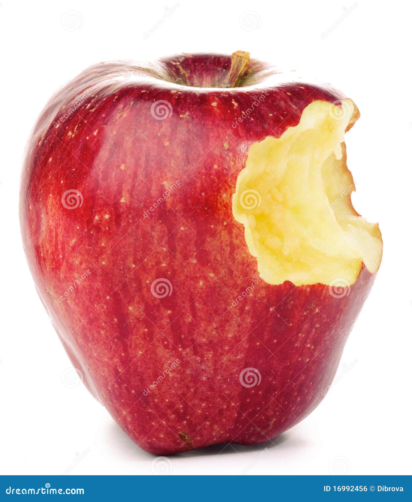 Bitten Red Apple stock photo. Image of bitten, food, fruit - 16992456