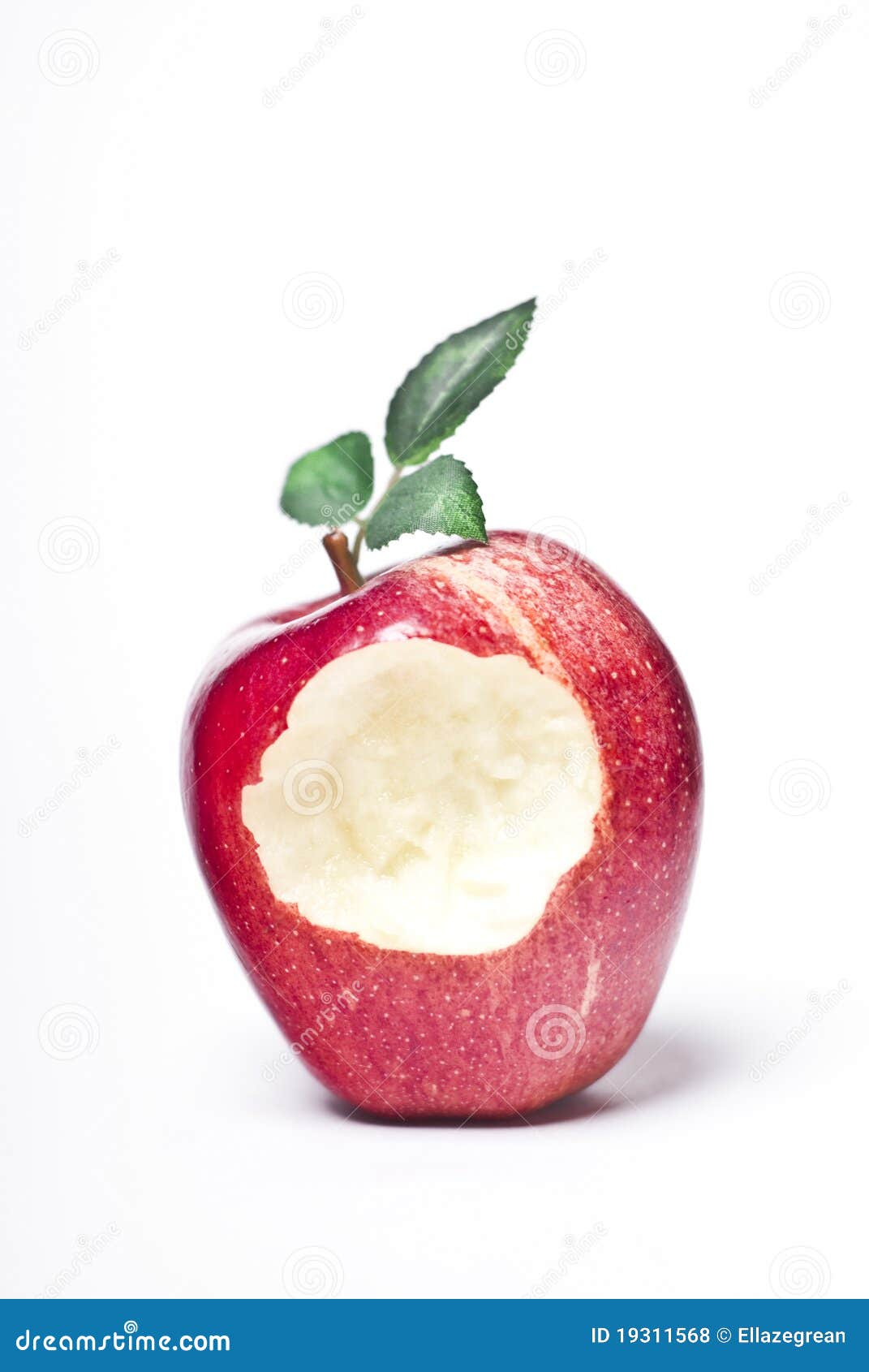Bitten red apple stock photo. Image of beverages, bitten - 19311568