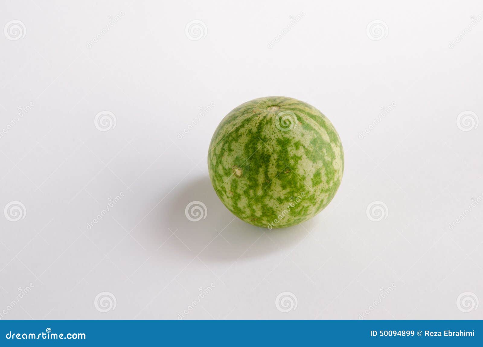 Bitter apple stock image. Image of apple, cucumber, bitter - 50094899