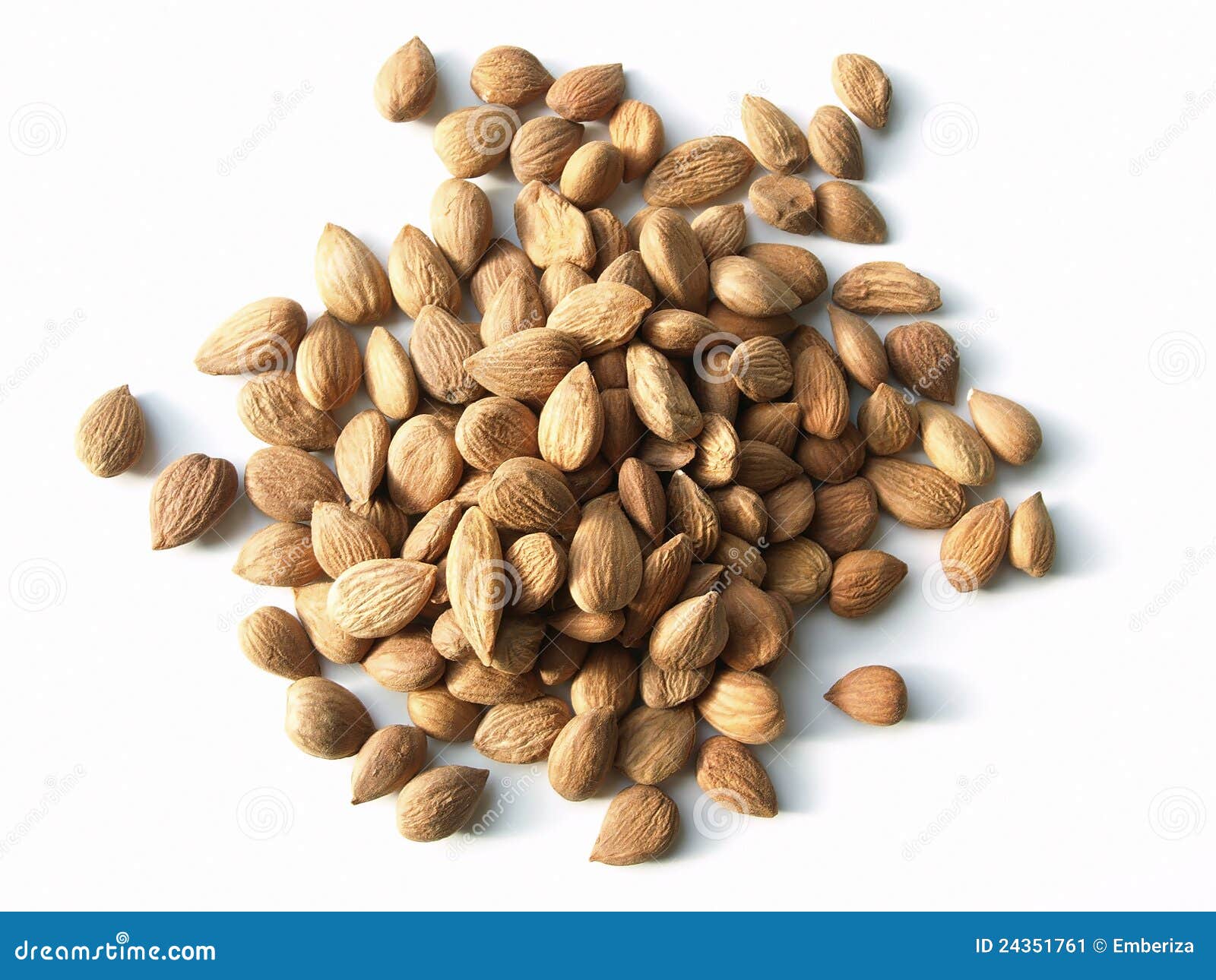 Bitter apricot kernels stock image. Image of lifestyle - 24351761