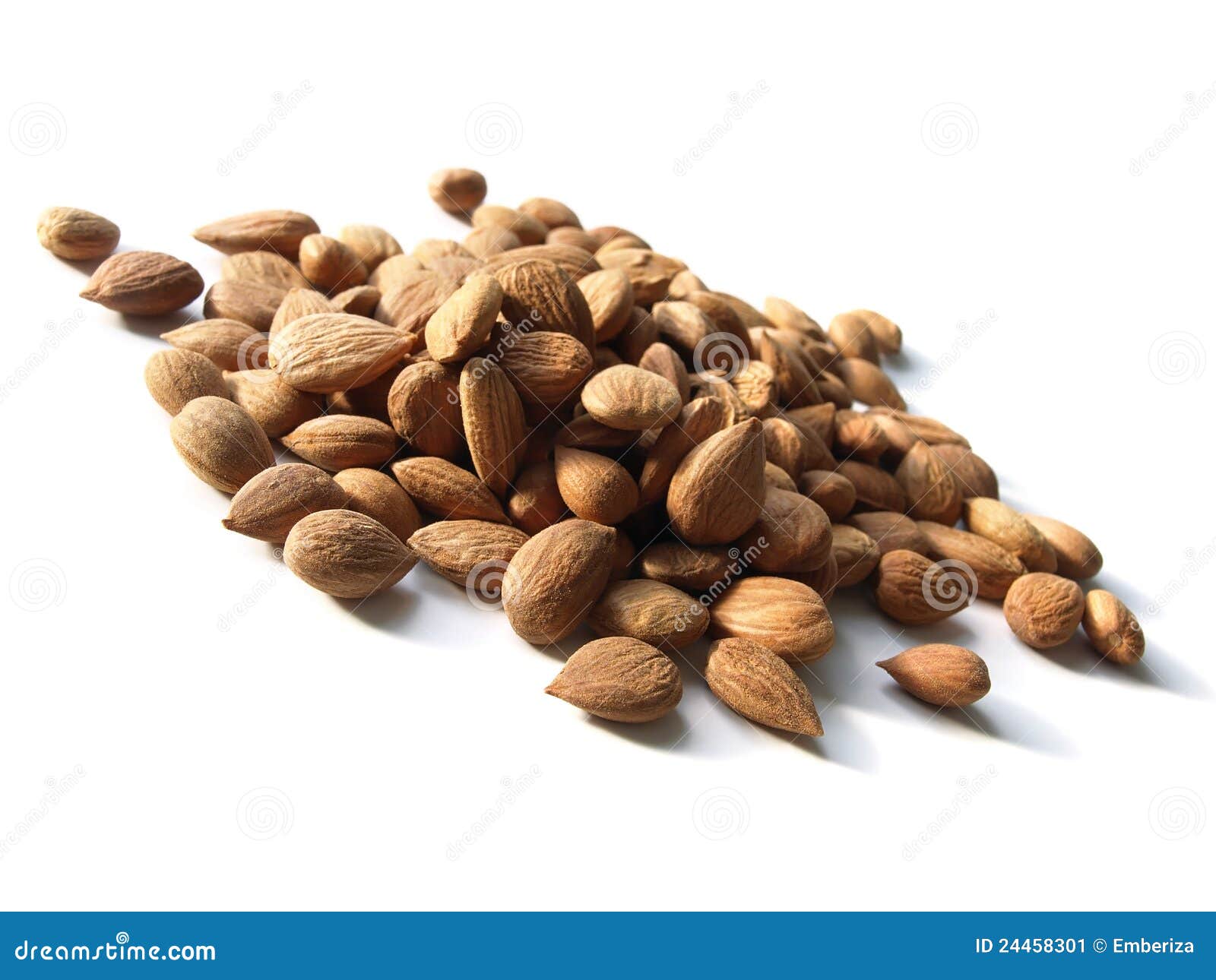 Bitter apricot kernels stock image. Image of seed, macrobiotic - 24458301