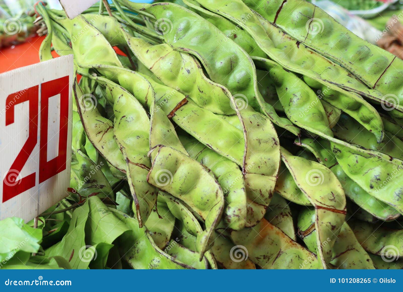 Bitter bean stock image. Image of smell, exotic, agriculture - 101208265