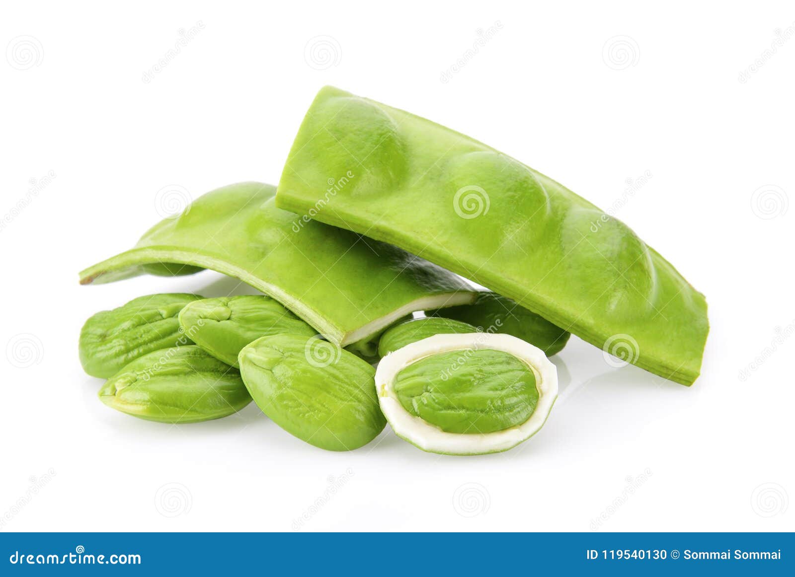 Fresh Bitter Bean on White Background Stock Photo - Image of background ...