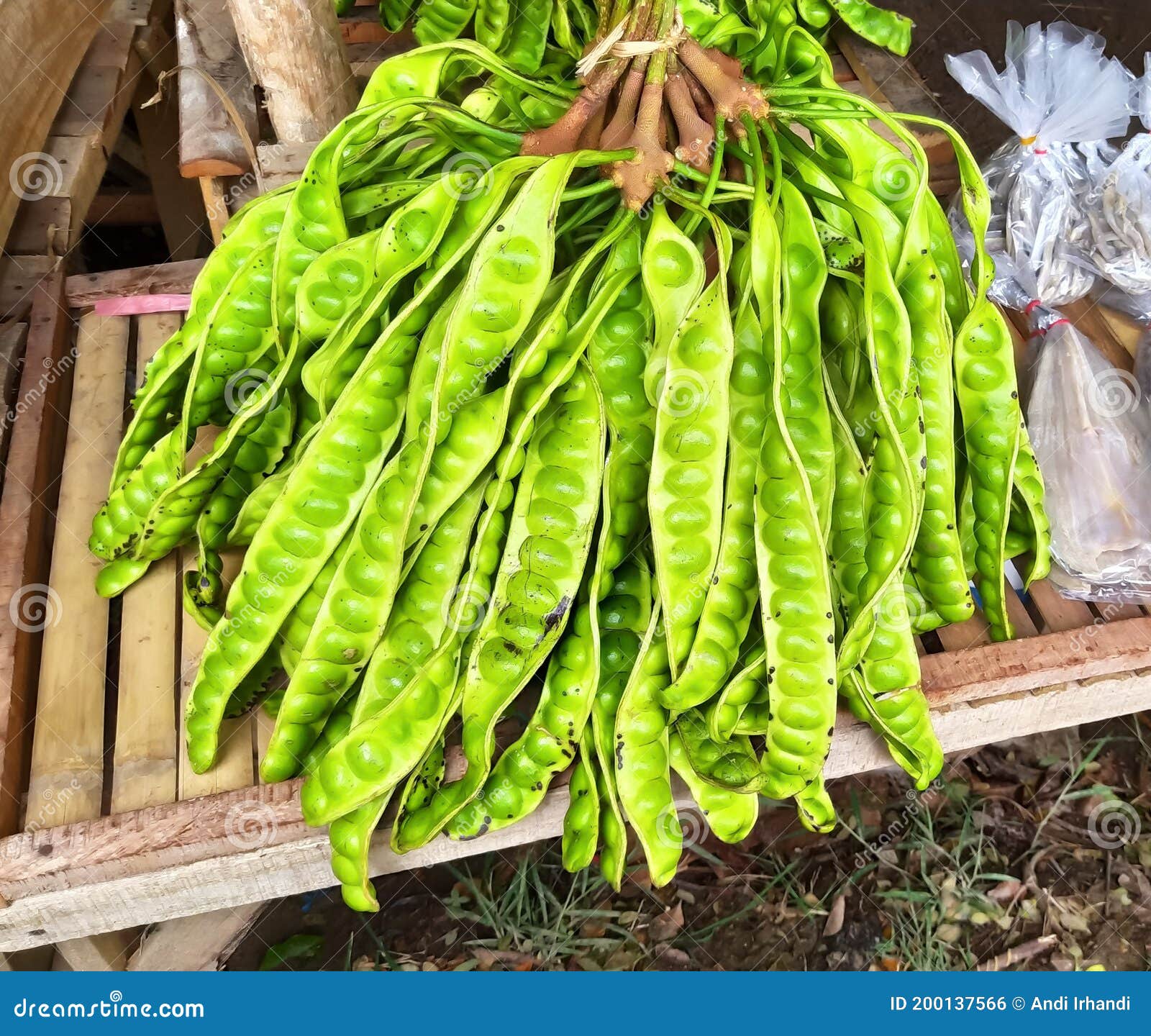 Bitter Beans is One of Indonesian Vegetables Stock Photo - Image of ...