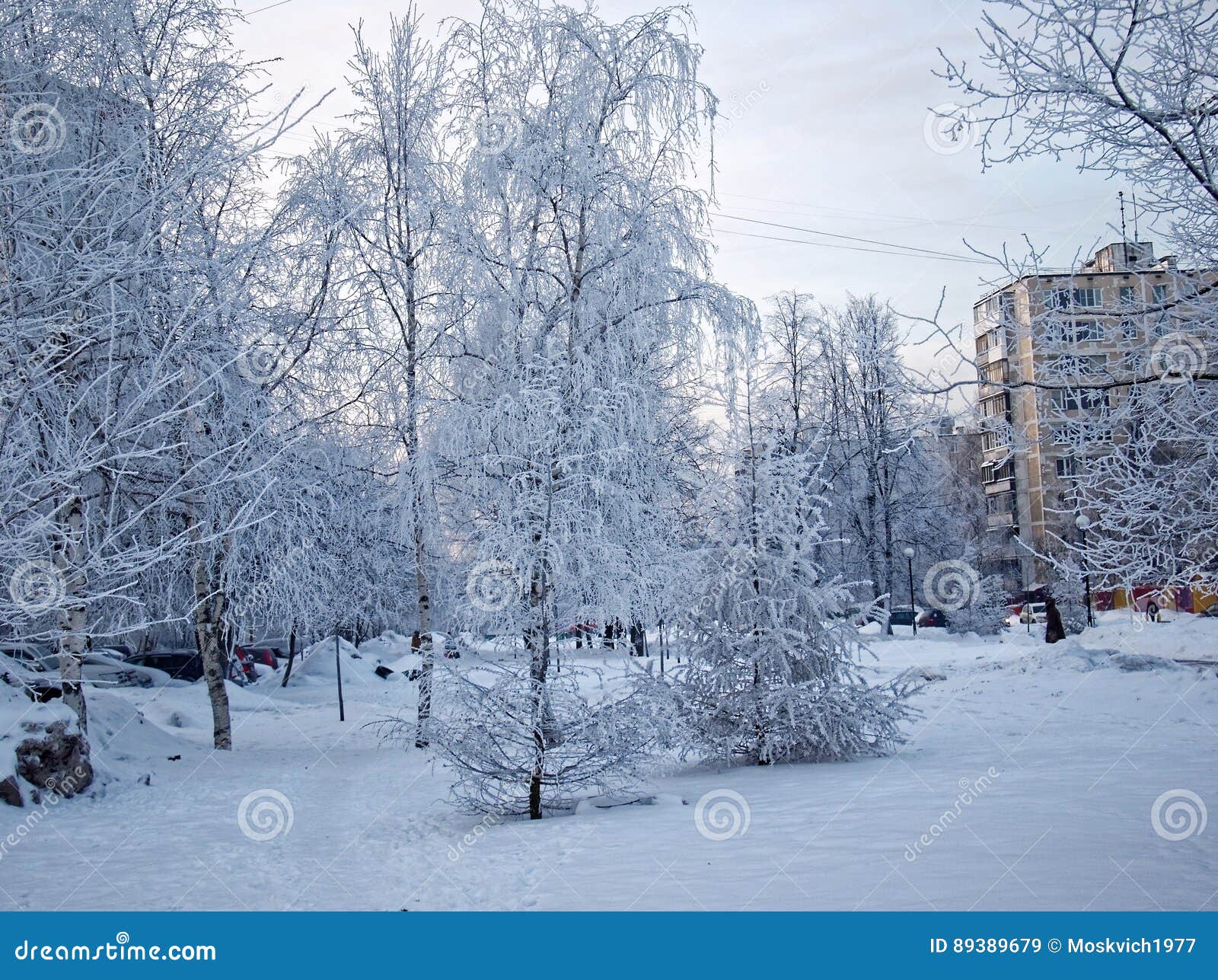 The Bitter Cold Night in Moscow Stock Image - Image of winter, tree ...
