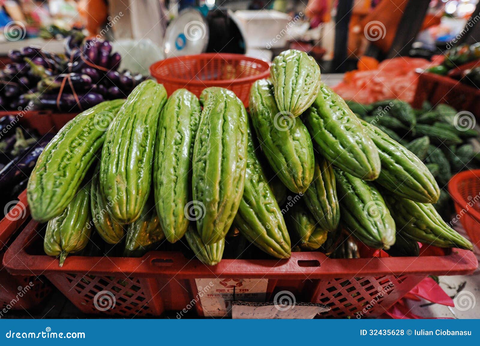 Bitter cucumber stock photo. Image of local, green, cucumber - 32435628