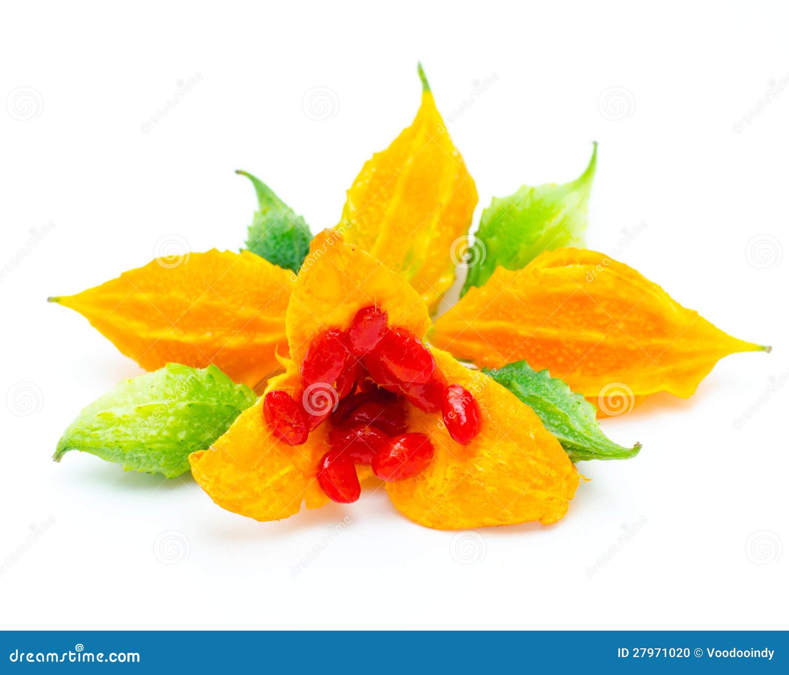 Bitter Cucumber with Natural Stock Photo - Image of bitter, fruit: 27971020