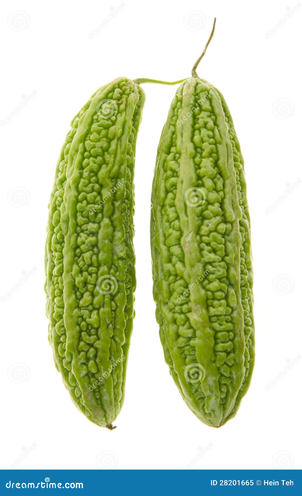 Bitter gourd on background stock image. Image of natural - 28201665